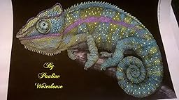 Intricate Ink Animals in Detail a Coloring Book by Tim Jeffs CBK002 ...