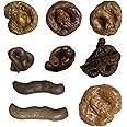 Amazon.com: 9PCS Realistic Fake Poop Prank Set – Lifelike Fake Turds ...
