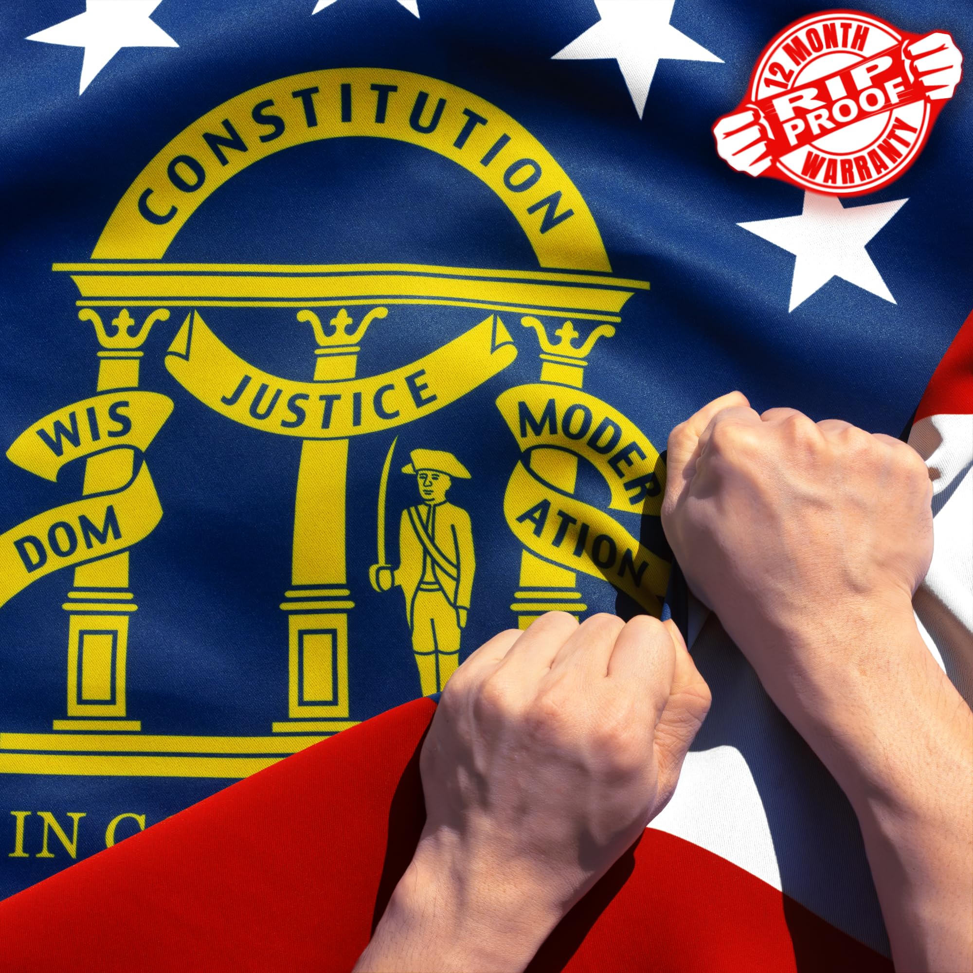 Anley Rip-Proof Double Sided 3-Ply Georgia State Flag 3x5 Foot - Vivid ...