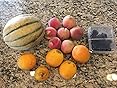 Seasonal Fruit Bundle, 4 Varieties: Amazon.com: Grocery & Gourmet Food