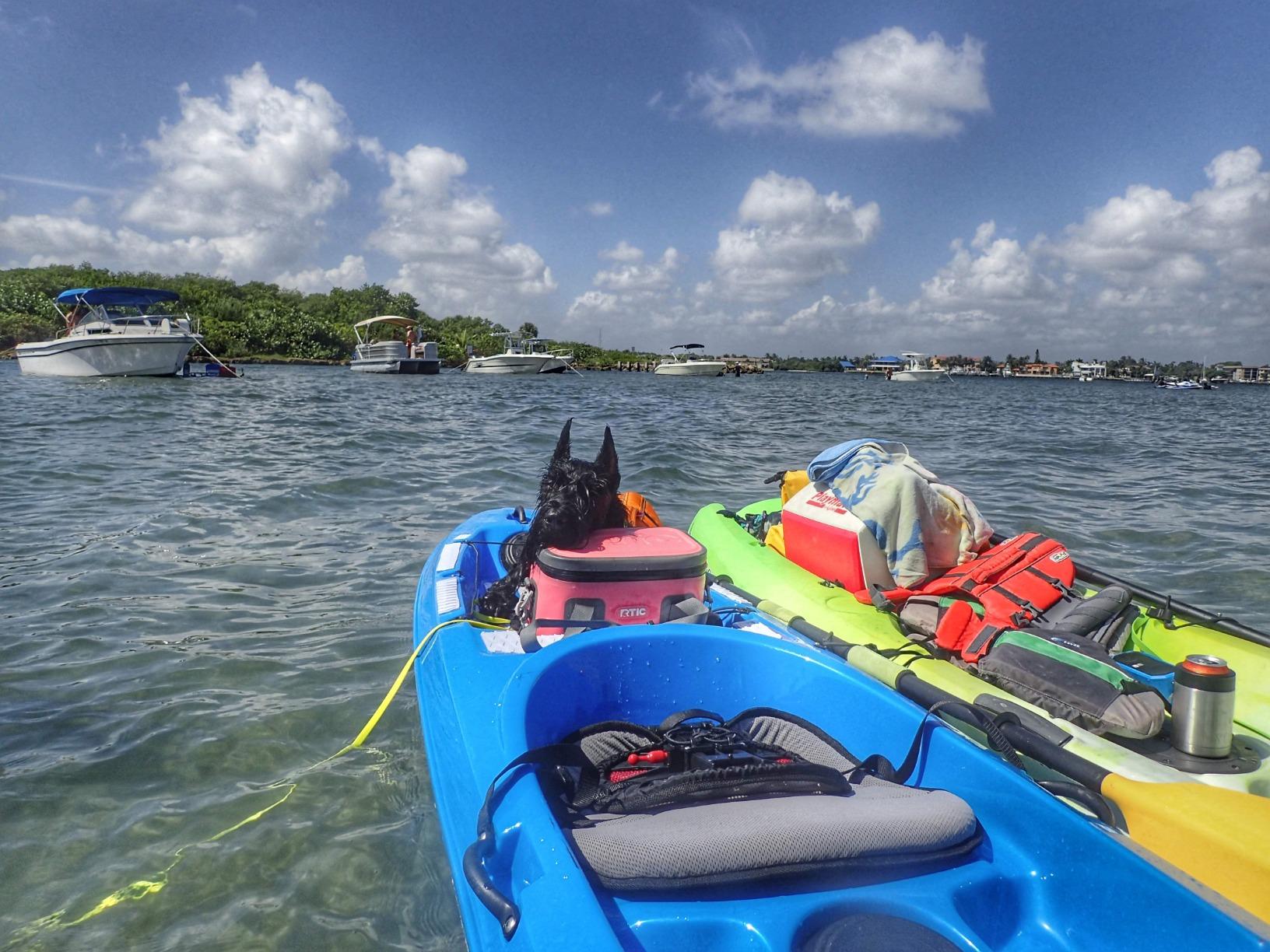 $12/mo - Finance SandShark Lite Series Boat Anchor - Shallow Water ...