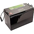 Amazon.com: Interstate Batteries 12V 110 AH SLA/AGM Deep Cycle Battery ...