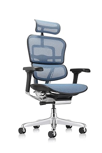 Ergohuman Eurotech ME7ERG GEN2 High Back Mesh Office Chair with Tilt ...