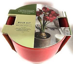 Amazon.com : Amaryllis Bulb Kit : Amaryllis Plants : Garden & Outdoor