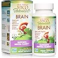 Amazon.com: Host Defense, MycoBotanicals Brain Capsules, Promotes ...