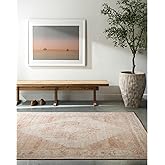 Amazon.com: Livabliss x Becki Owens Solana Medallion Area Rug , 3'11" x 5'7", Peach : Home & Kitchen