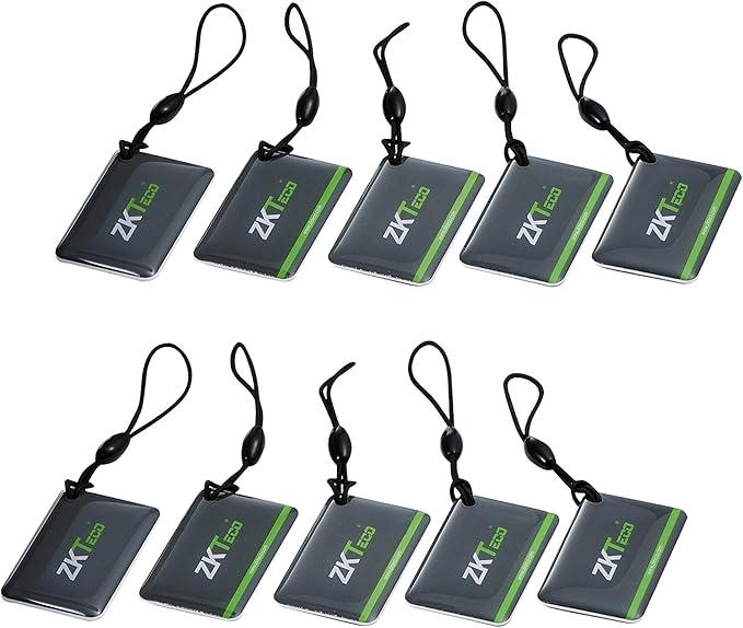 Amazon.com: ZKTeco Mini RFID Card Smart Door Entry Access Control ...