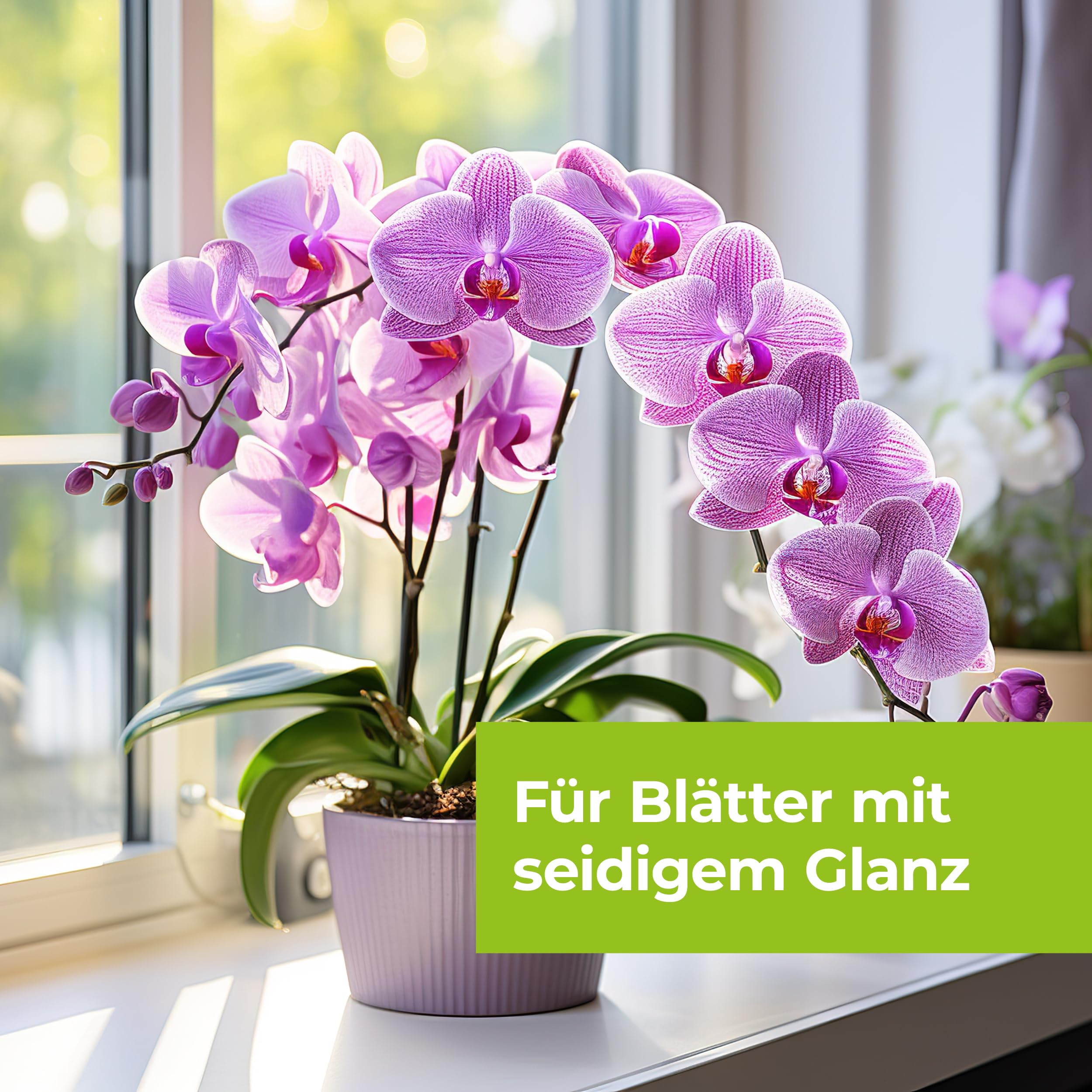 Mua PROTECT GARDEN Lizetan Orchid Spray AF - 500ml Spray Bottle - For ...