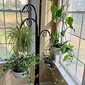 Amazon.com : Panacea 88155 4 Way Scroll Basket Hanger Plant-Hooks, 72 ...
