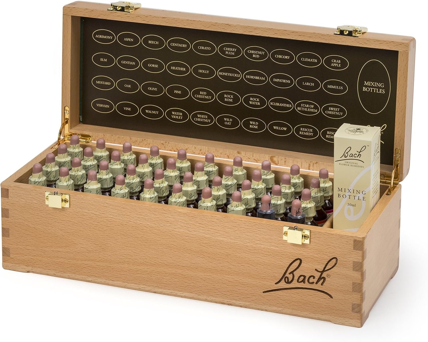 Bach Original Flower Remedies – Professional Set Box – BigaMart