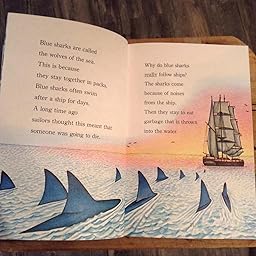 Amazon.com: Bony-Legs (9780590405164): Joanna Cole, Dirk Zimmer: Books