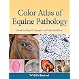 Color Atlas of Equine Pathology: 9780470962848: Medicine & Health ...