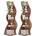Amazon.com: Tribesigns Corner Shelf, Rustic 5-Tier Wall Corner ...