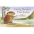 Little Beaver and the Echo: MacDonald, Amy: 9780698116283: Amazon.com ...