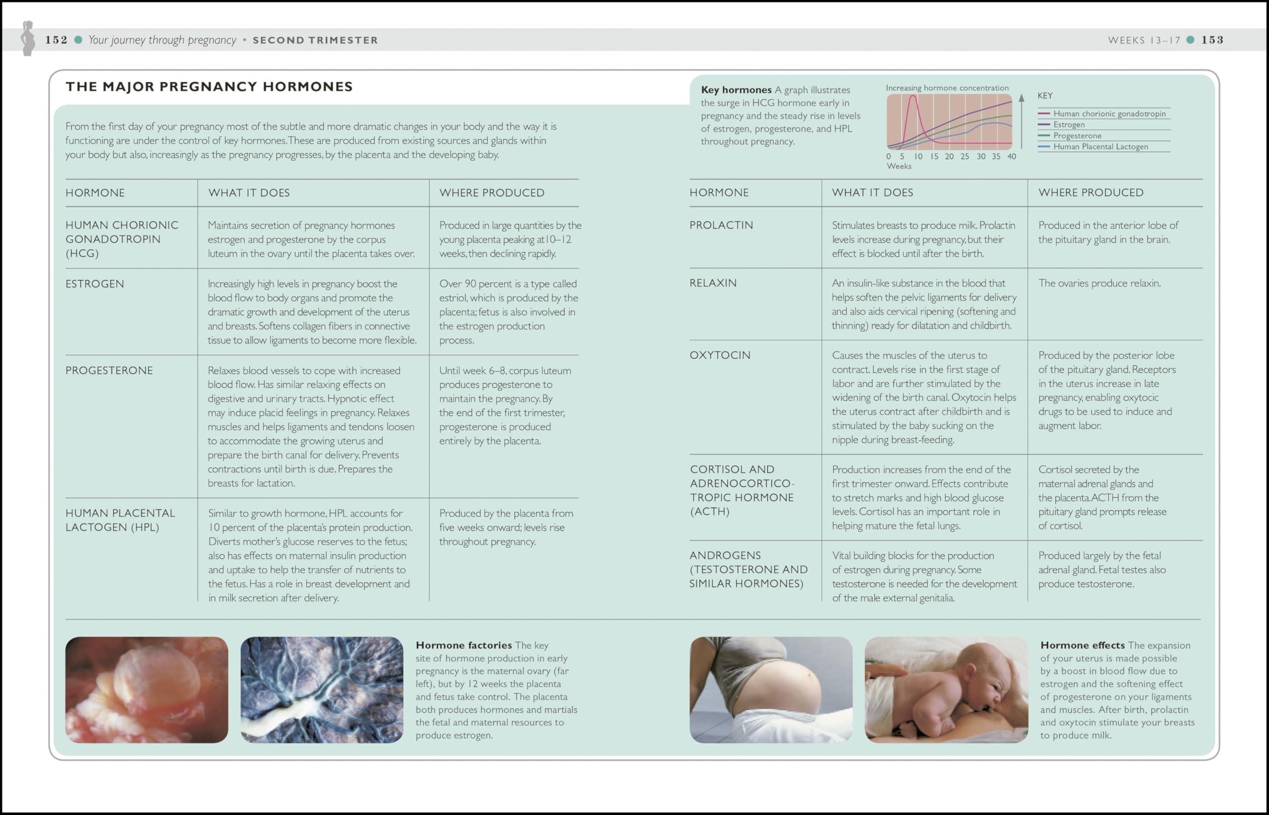 Mua I'm Pregnant!: A week-by-week guide from conception to birth I'm ...