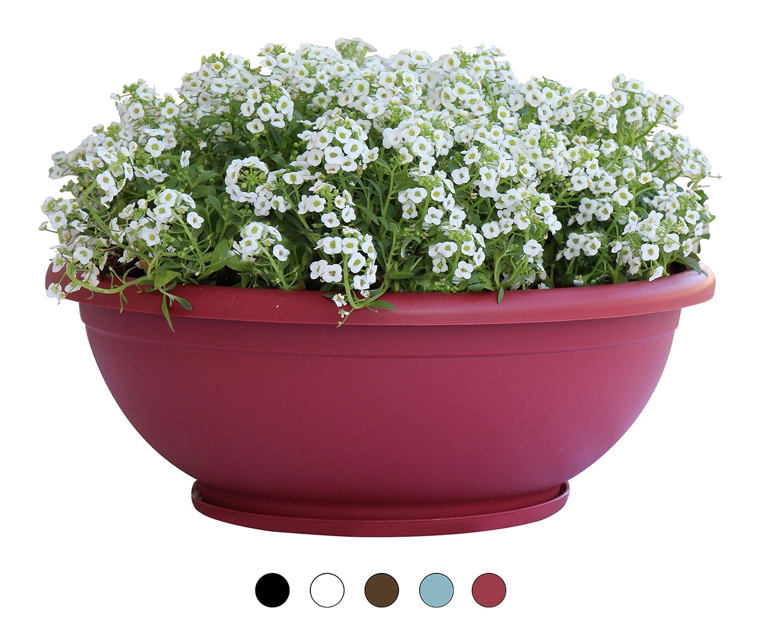 Amazon.com : TABOR TOOLS Plastic Planter Bowl, Garden Bowl for Indoor ...