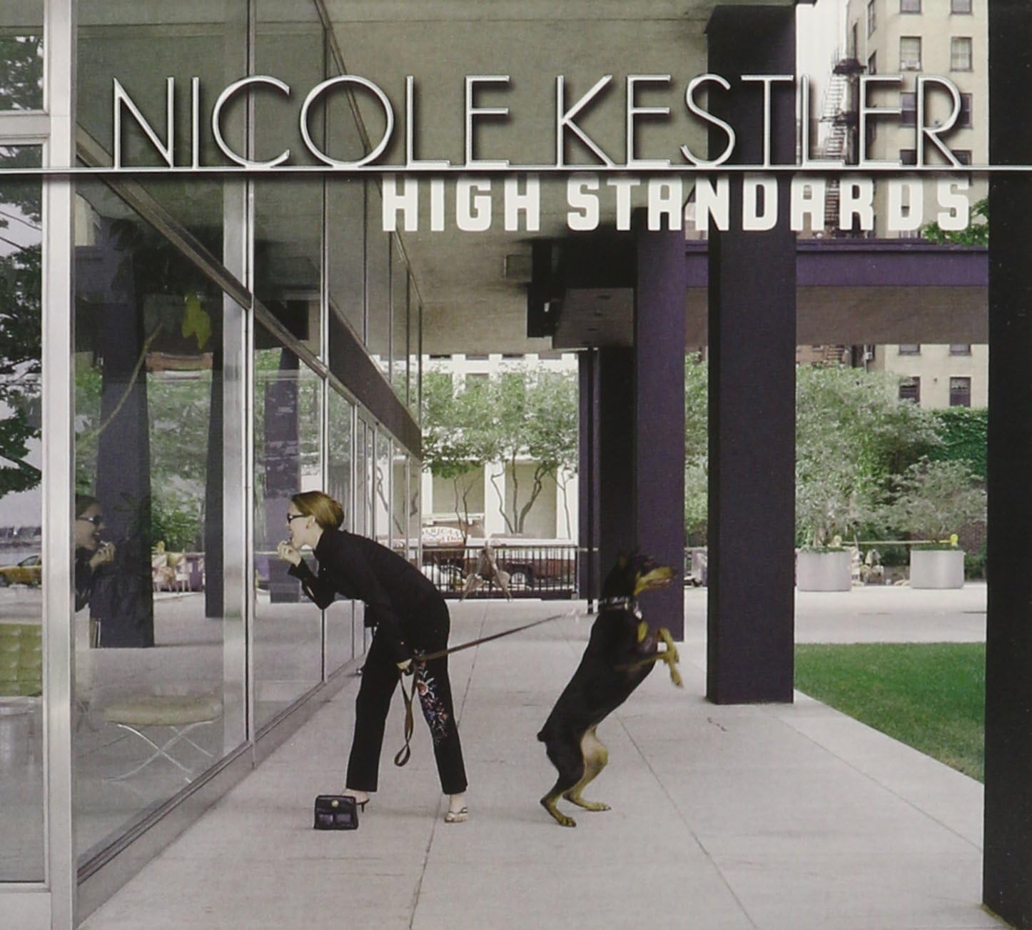 High Standards - Amazon.co.uk