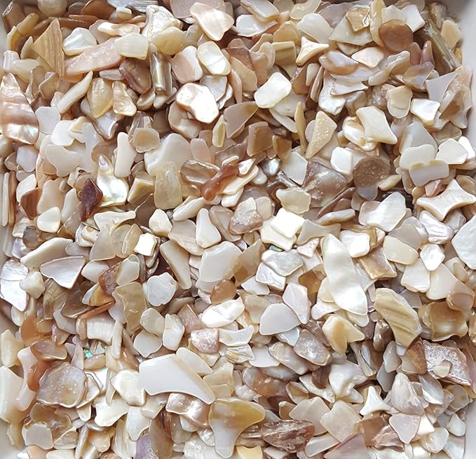 Amazon.com: 3 lbs Bulk Crushed Seashell Chips Wedding Vase Fillers ...