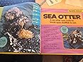 National Geographic Little Kids First Big Book of the Ocean: Hughes ...