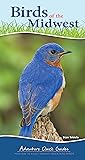 Birds of Missouri Field Guide: Stan Tekiela: 9781885061355: Amazon.com ...