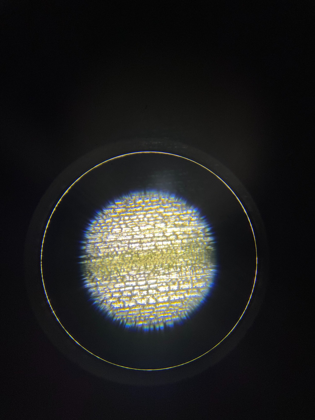 $15/mo - Finance Swift Compound Monocular Microscope SW200DL with 40X ...