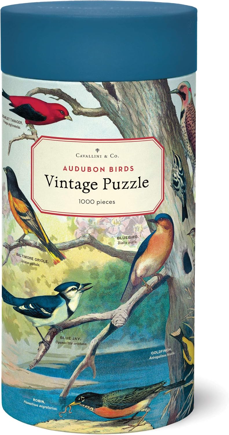 Cavallini Papers & Co. Birds 1000 Piece Jigsaw Puzzle, Multi-Colour ...