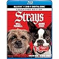 Amazon.com: Strays (2023) - Unleashed Edition Blu-ray + DVD + Digital ...