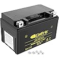 Amazon.com: Caltric Agm Battery Compatible with Honda 1000Rr Cbr1000Rr ...