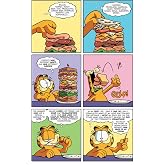 Amazon.com: Garfield: Full Course Vol. 4: 9781684151592: Evanier, Mark ...