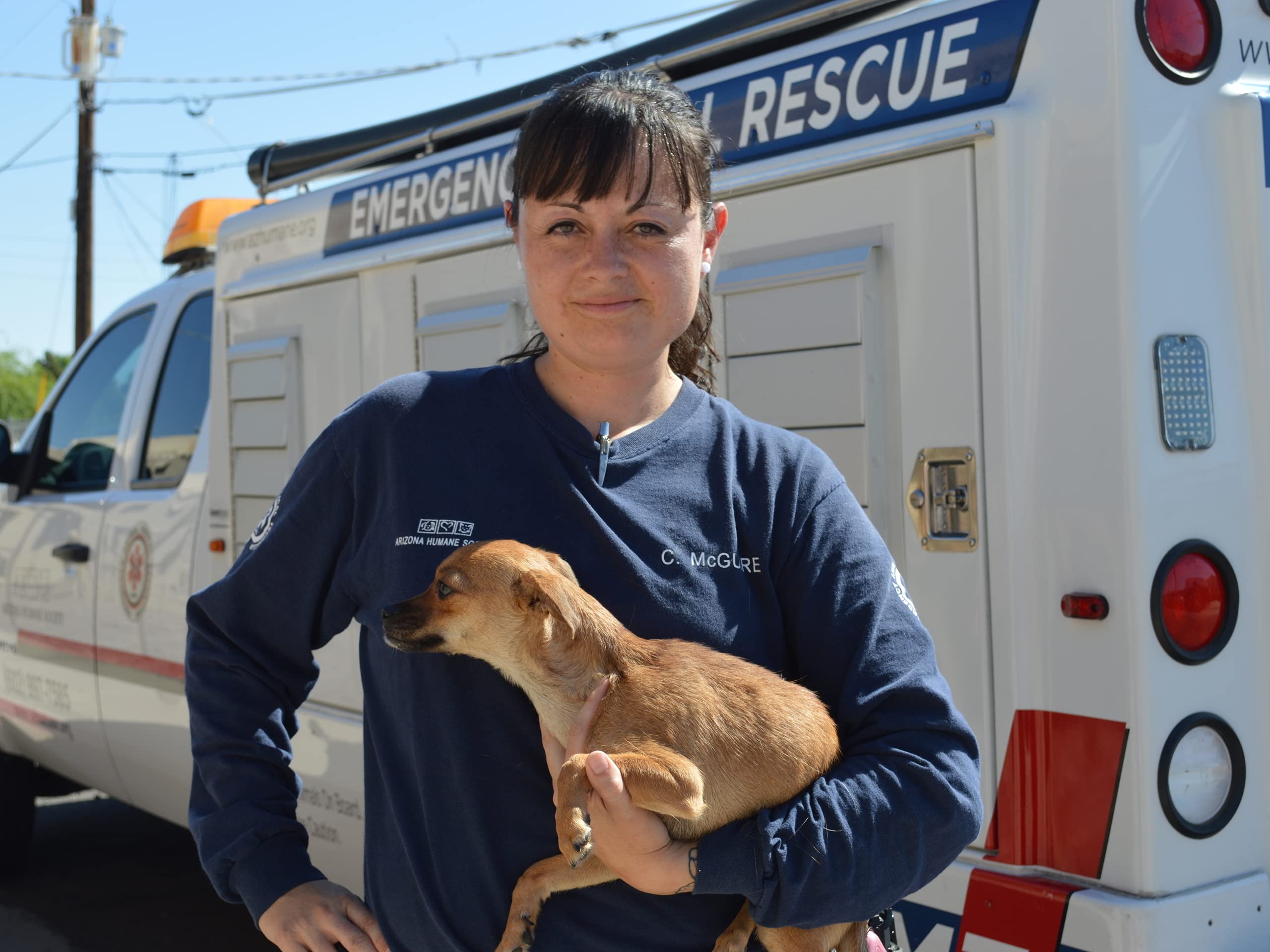 Watch Animal Cops Phoenix - Season 4 | Prime Video