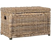Amazon.com: happimess HPM9002B Elijah 30" Wicker Storage Trunk ...