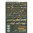 Amazon.com: Pop Chart | Dinosauria | Large 24" x 36" Dinosaur Poster ...