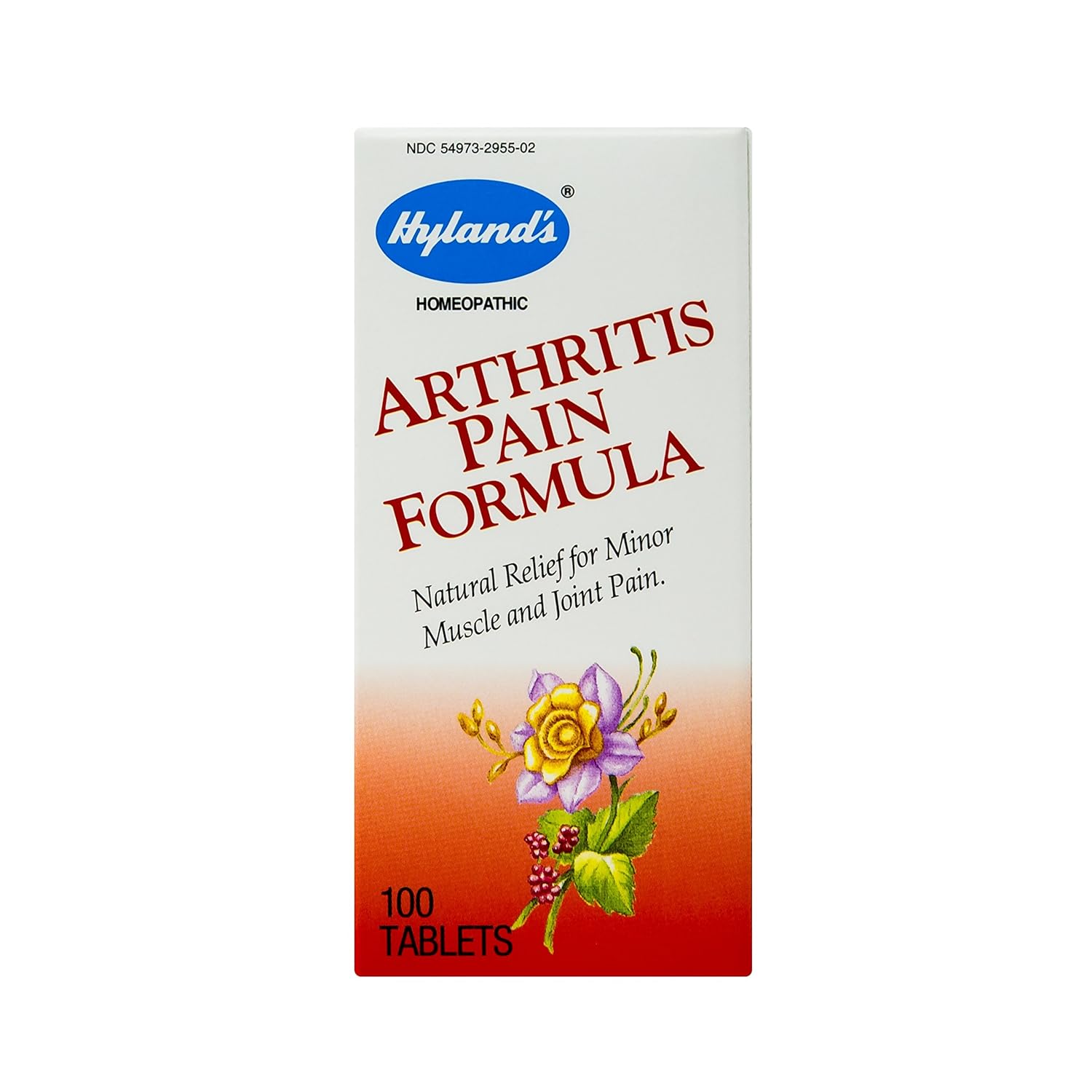 Amazon.com: Arthritis Pain Relief Formula Tablets by Hyland's, Natural ...