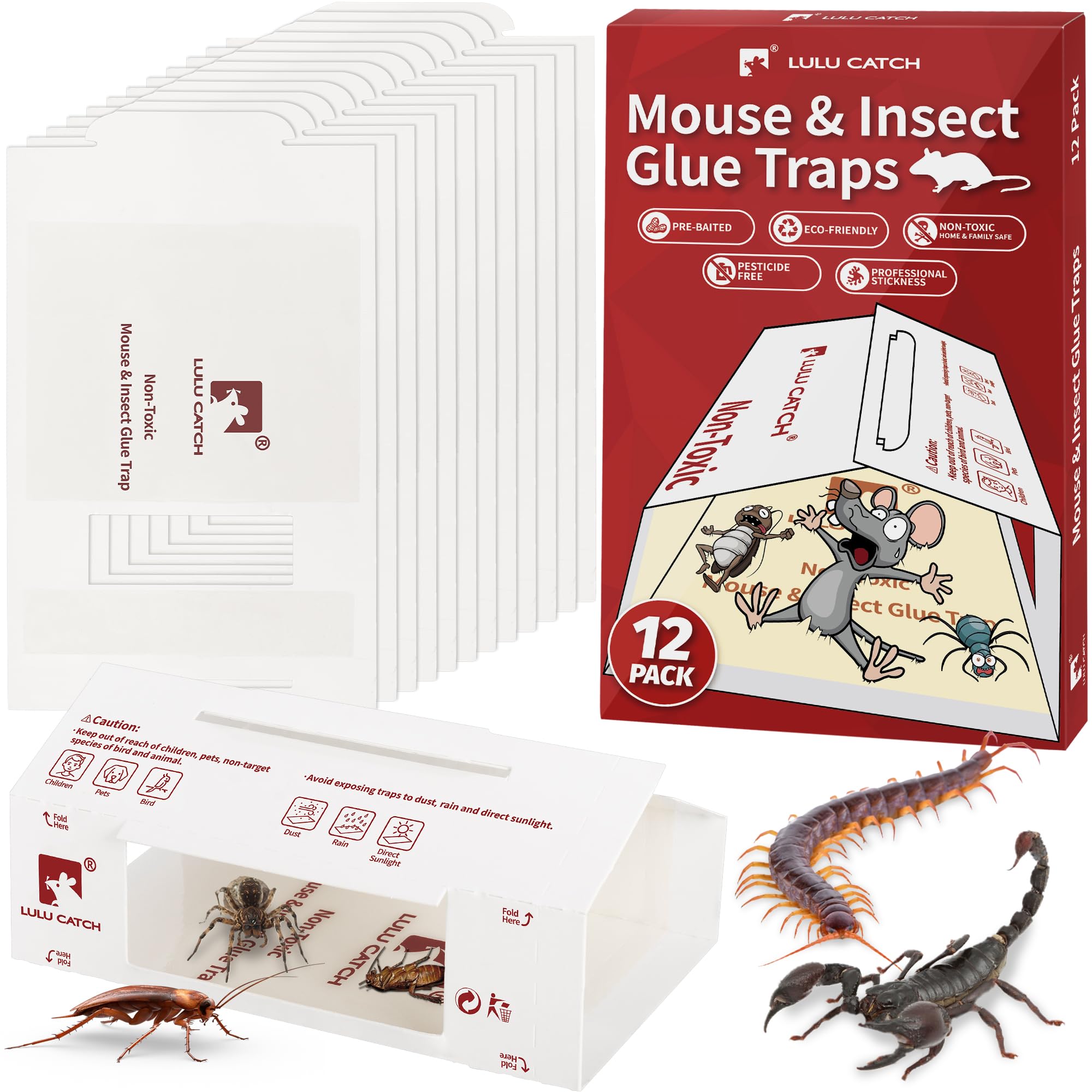 Mua Sticky Insect Glue Traps, 12 Pack Pre-baited Spider Traps, Bulk Cricket Traps, Foldable Non ...