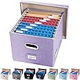 Amazon.com: PRANDOM File Organizer Box - Set of 1 Collapsible ...