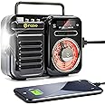 Amazon.com: RunningSnail Emergency NOAA Weather Radio, Solar Crank Digital Radio with 2000mAh ...