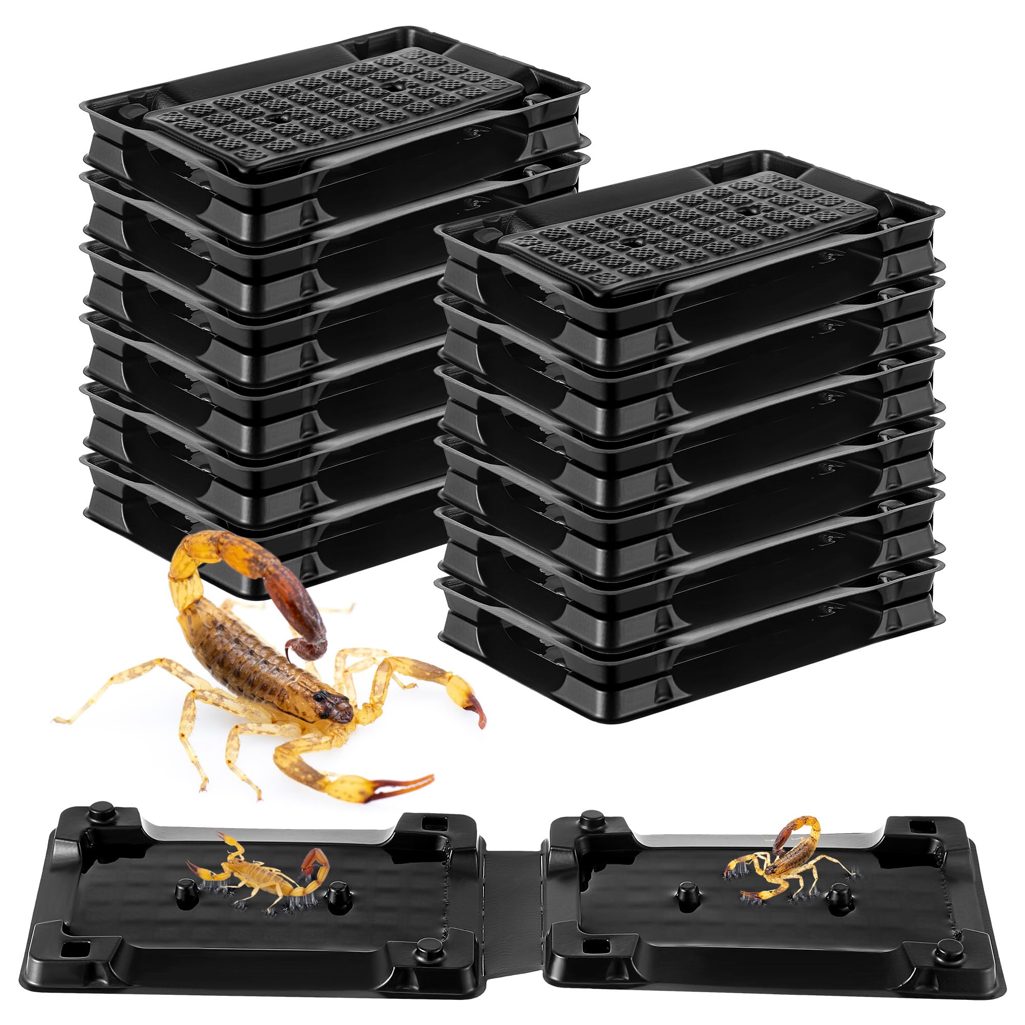 Qualirey 12 Scorpion Glue Tray Traps, Adhesive Scorpion Killer Indoor ...