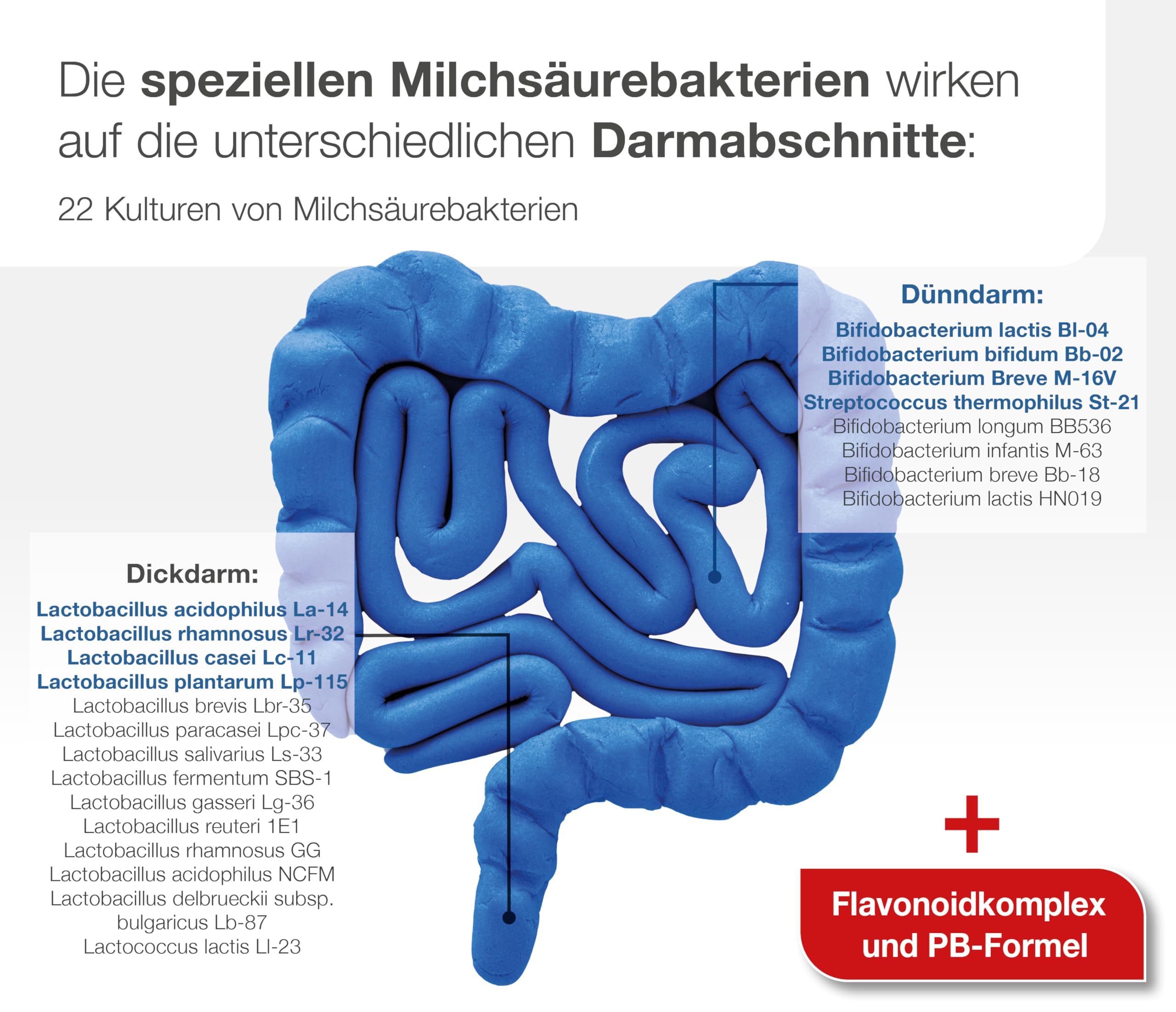 Mua Intestinal Flora Plus Select Complex Dr. Wolz - High Dose with 23 ...
