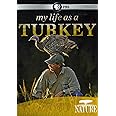 When I Was a Turkey: Based on the Emmy Award-Winning PBS Documentary My ...