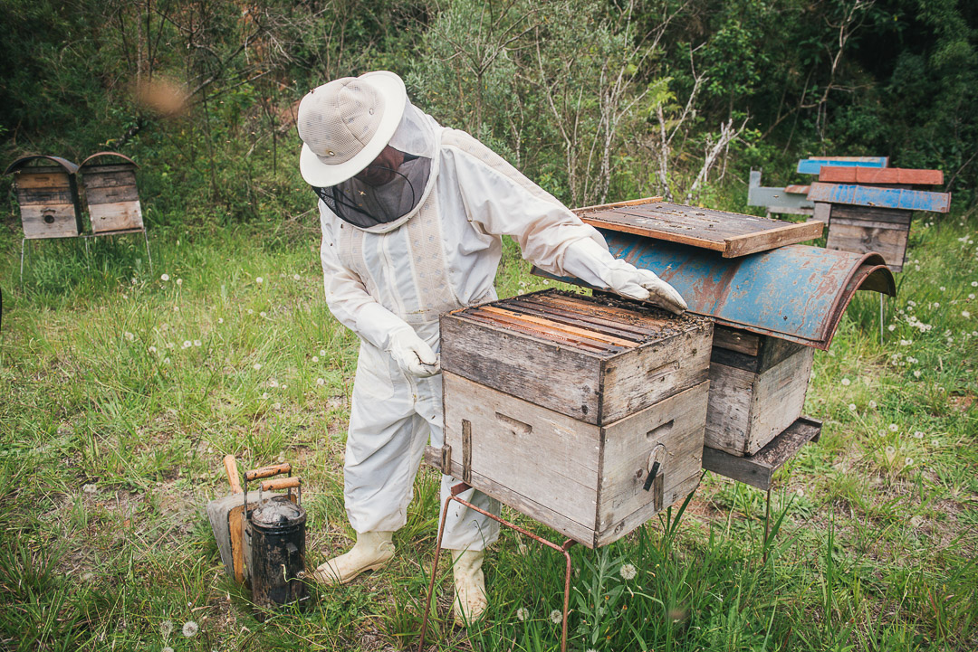Watch Organic Beekeeping With Bee Seasonal on Amazon Live