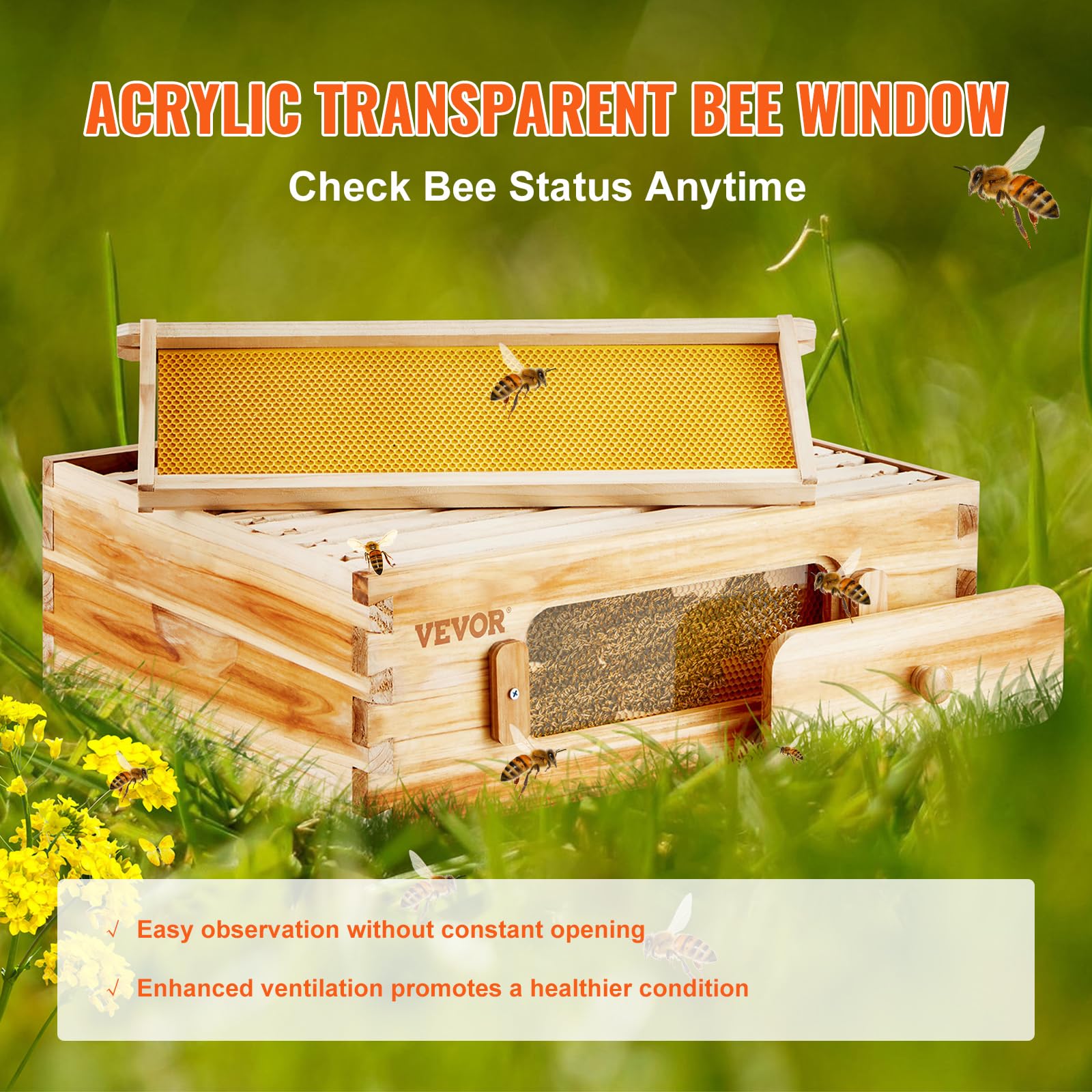 Mua 10 Frame Medium Super Bee Hive Box, Bee Box Dipped in 100% Beeswax, Langstroth Beehive Kit ...