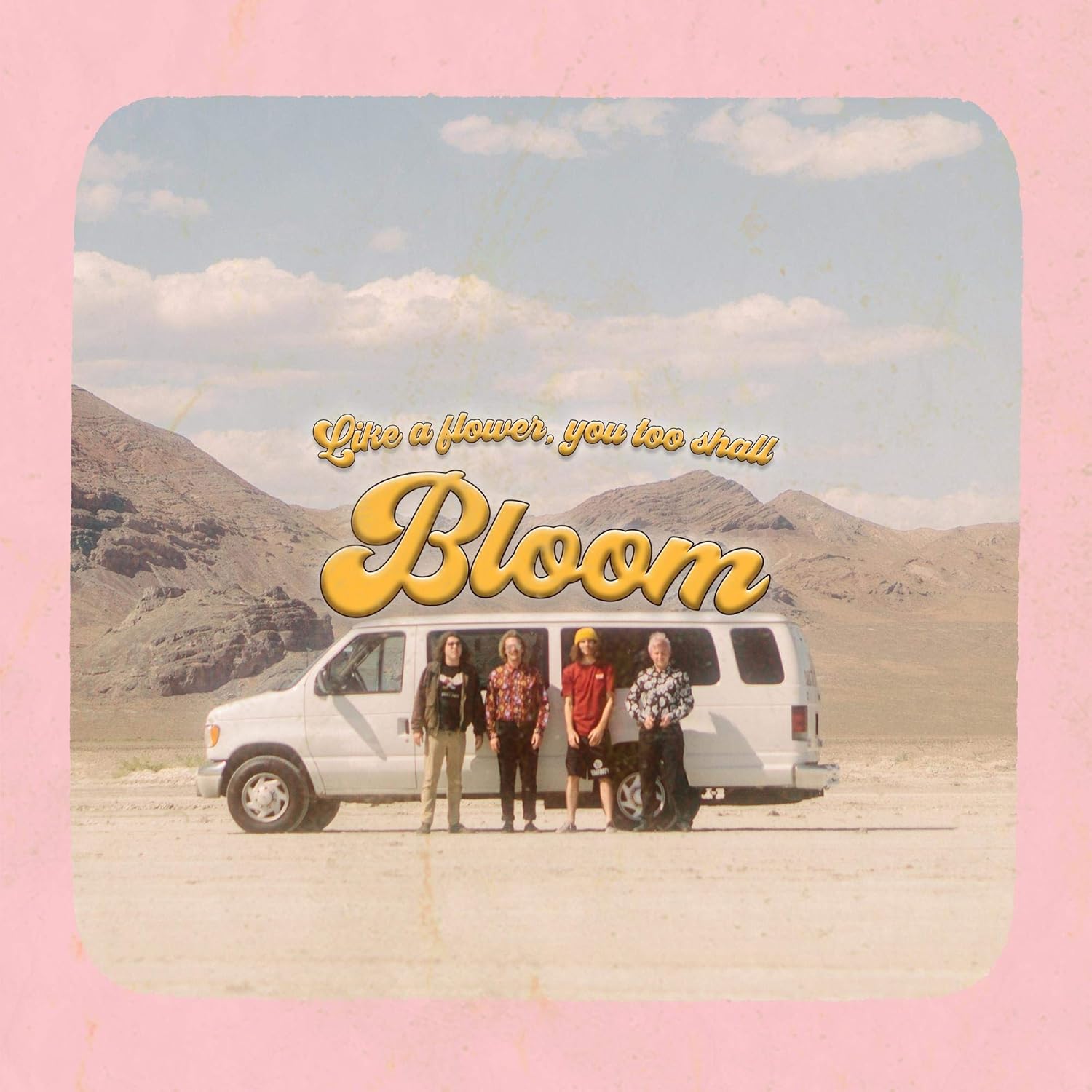 Bloom - Amazon.co.uk