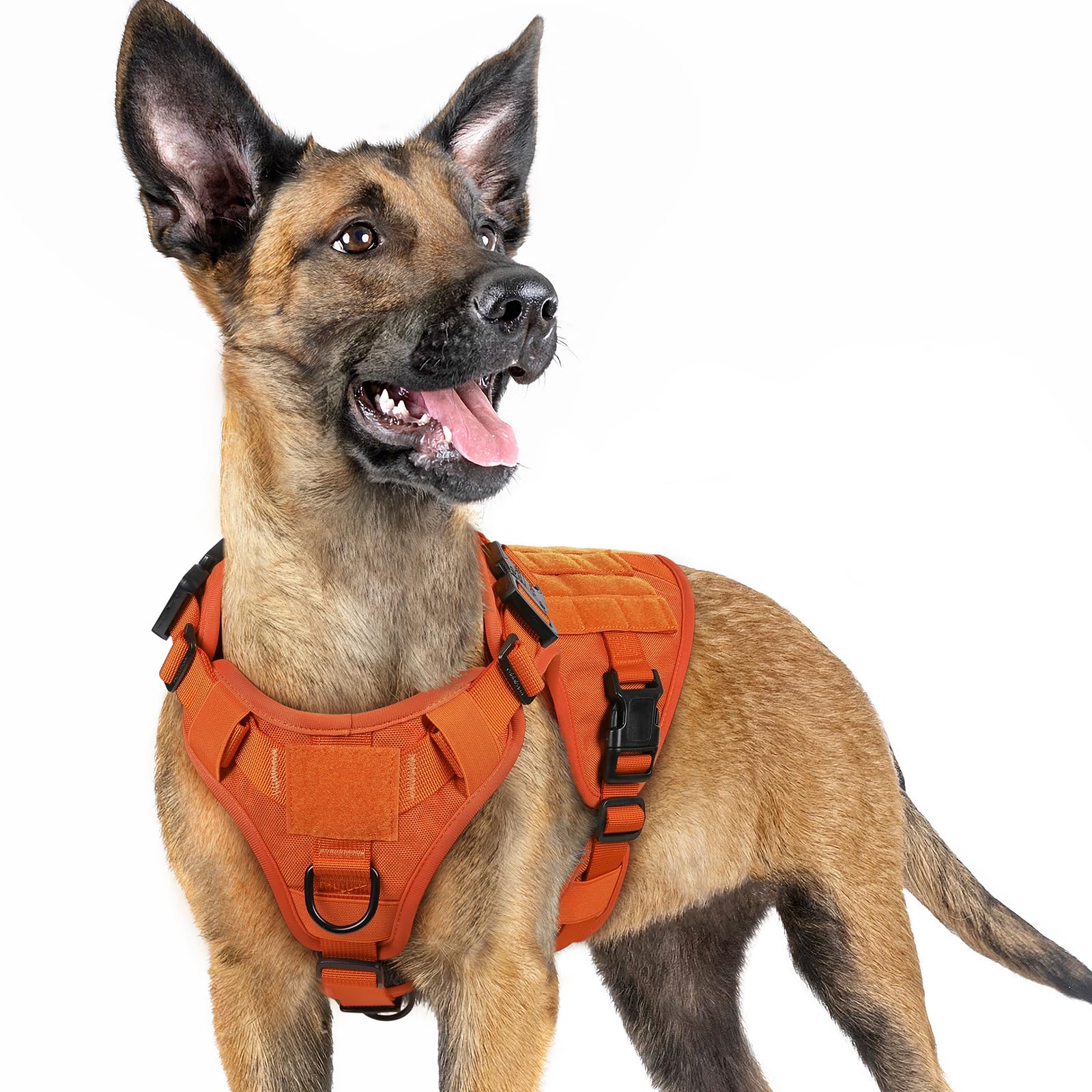 rabbitgoo Tactical Dog Harness for Large Dogs, Heavy Duty Dog Harness ...