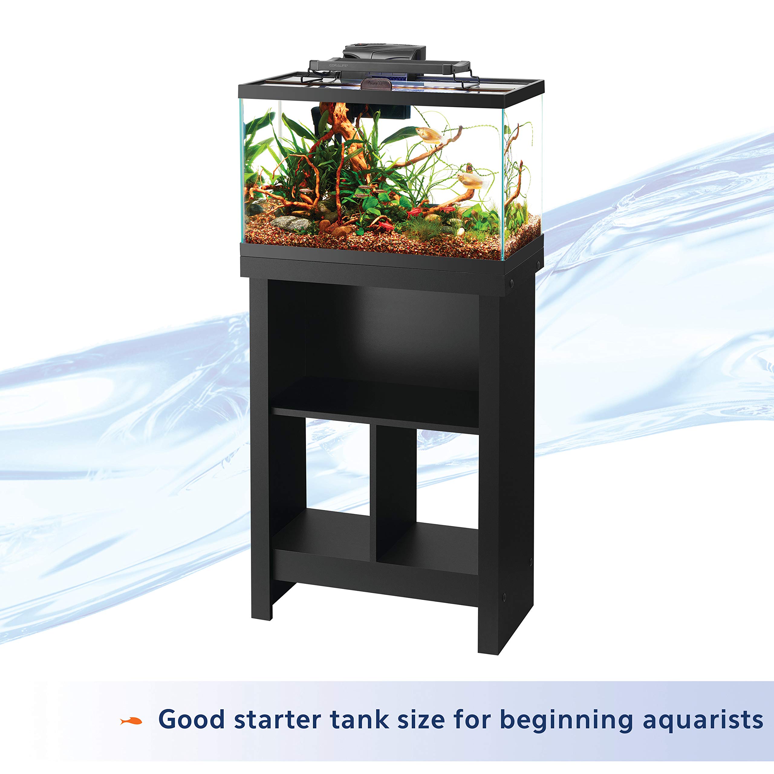 Aqueon Standard Glass 10 Gallon Rectangular Tank for Aquariums ...