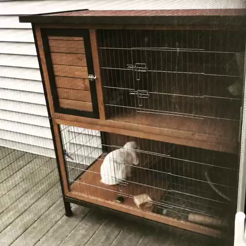 Amazon.com: Kaytee Rabbit Hutch, 2-Story, 48-Inch Wide: Patio, Lawn ...