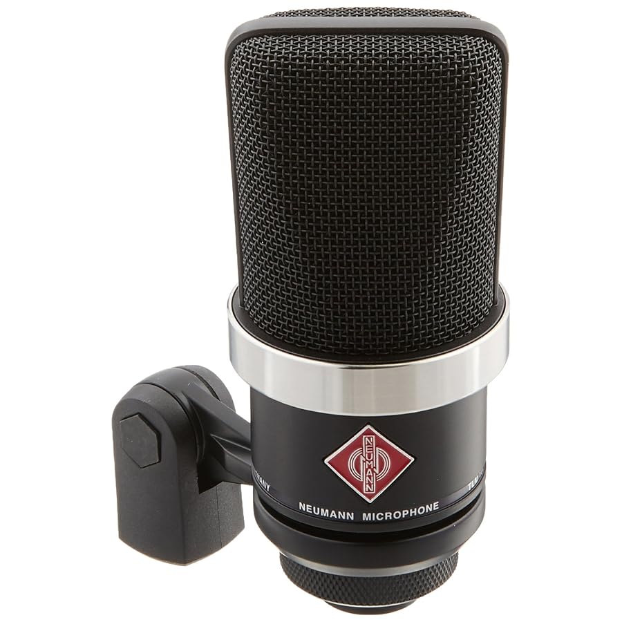 NEUMANN TLM102 - 様々な楽器に幅広く使用できる、はじめての NEUMANN マイクに最適なモデル【Supernice!DTM機材】