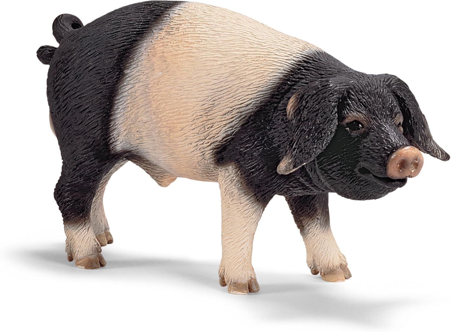 Schleich Swabian-Hall boar: Amazon.co.uk: Toys & Games