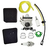 Amazon.com: BEIYIPARTS 300486 Carburetor 3004156 Air Filter for ...