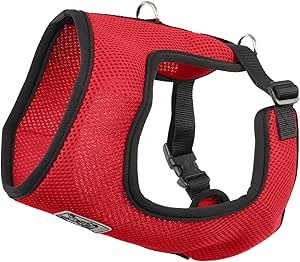 Amazon.com : RC Pet Products Cirque Soft Walking Dog Harness, Medium ...
