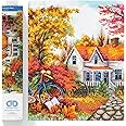 Amazon.com: DIAMOND DOTZ Summer Hideaway Landscape Diamond Painting ...